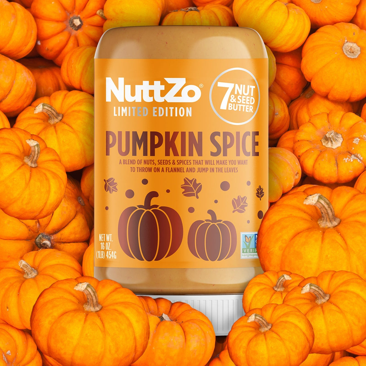 19 Healthy Foods to Satisfy Your Pumpkin Spice Obsession – NuttZo